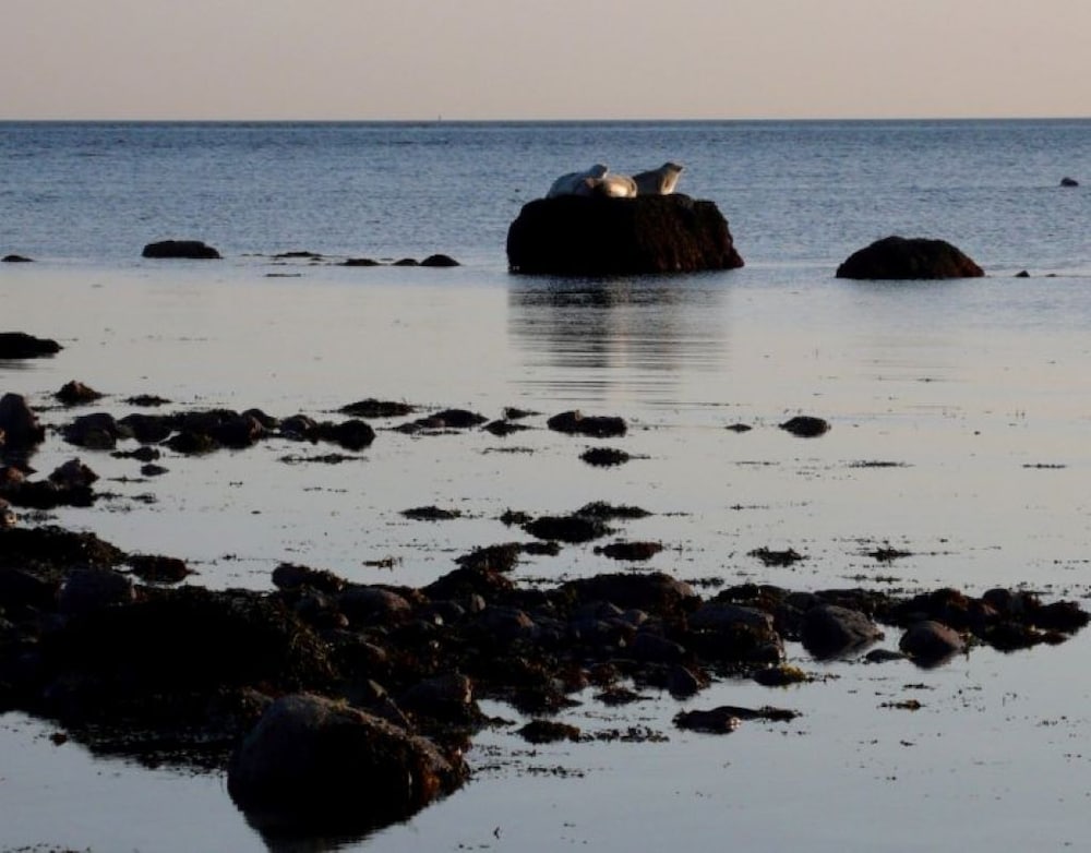 Cozy Home, Less Than A Mile To Town Neck Beach, Near Canal, Shops, & Dining - Sandwich, MA