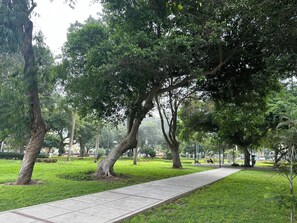 Um parque com calçada pavimentada, árvores e grama.