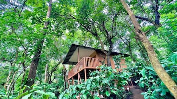 Casa na Árvore Exclusiva, 1 cama king-size, não fumadores, vista para a piscina | Vista da varanda
