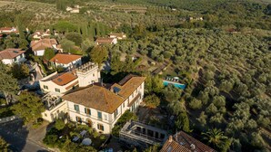 Vista aérea de uma área residencial com várias casas, uma piscina e oliveiras.