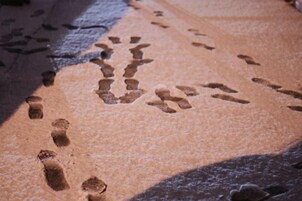Close-up de pegadas na neve.