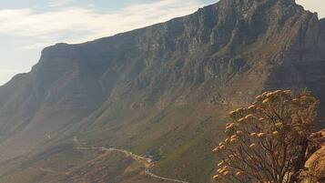 Dormitório compartilhado, 1 quarto | Praia