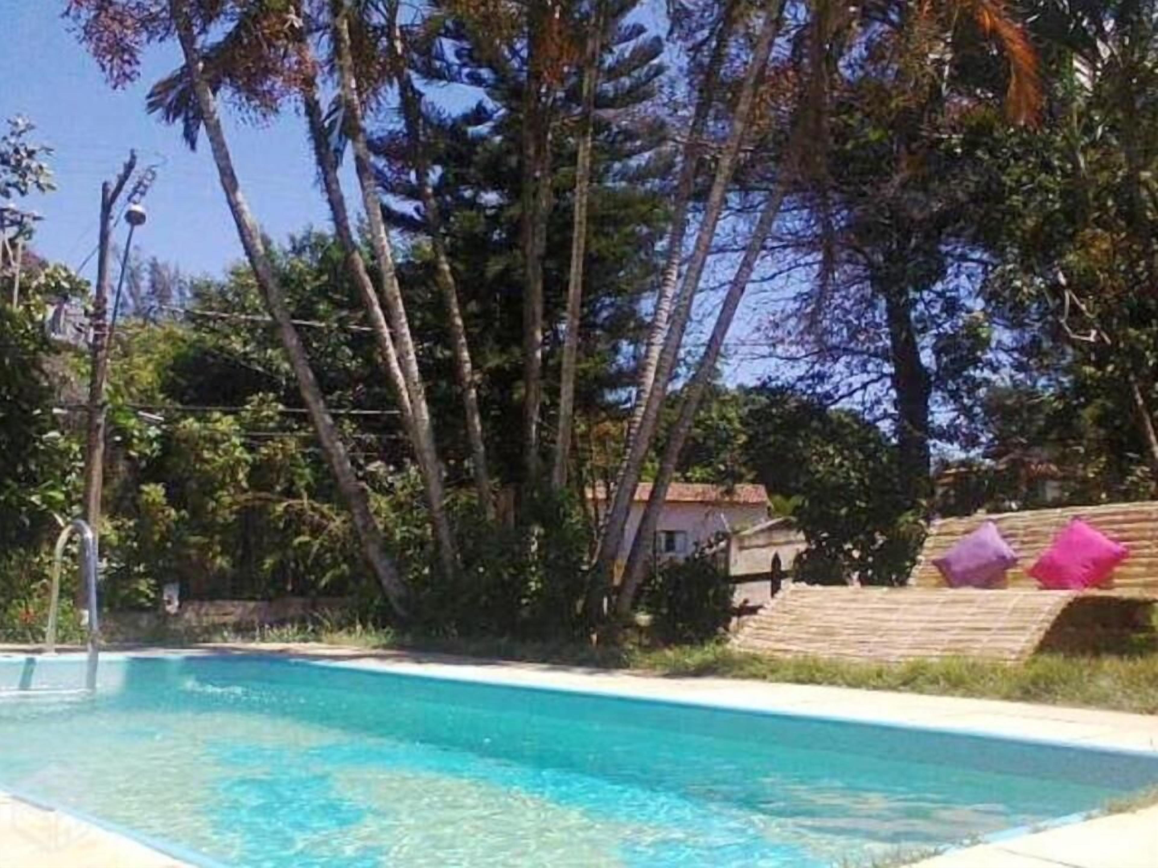 Uma piscina retangular com água azul cristalina, rodeada por árvores altas e um deck de madeira com almofadas cor-de-rosa.
