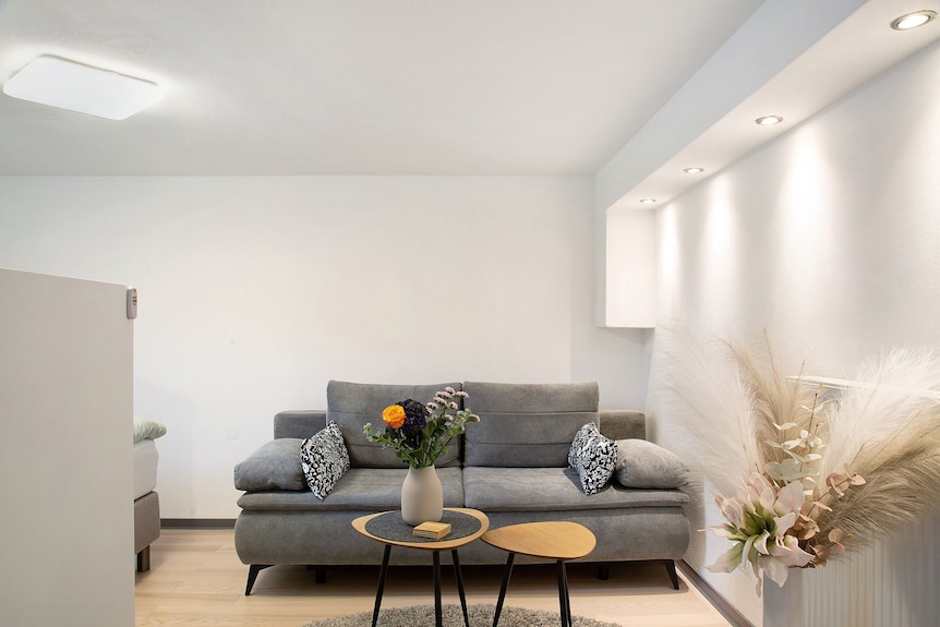 Appartement 'Schönauer Hof - Wohnung Lux' Avec Terrasse Privée, Wi-fi Et Climatisation - Passau