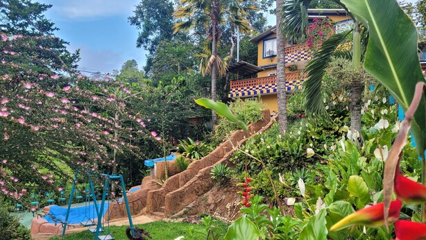 Um jardim exuberante com diversas plantas e uma pequena escadaria que leva a um edifício.