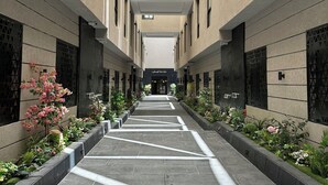 Um corredor com um caminho central ladeado por janelas e vegetação, levando a uma entrada de edifício.