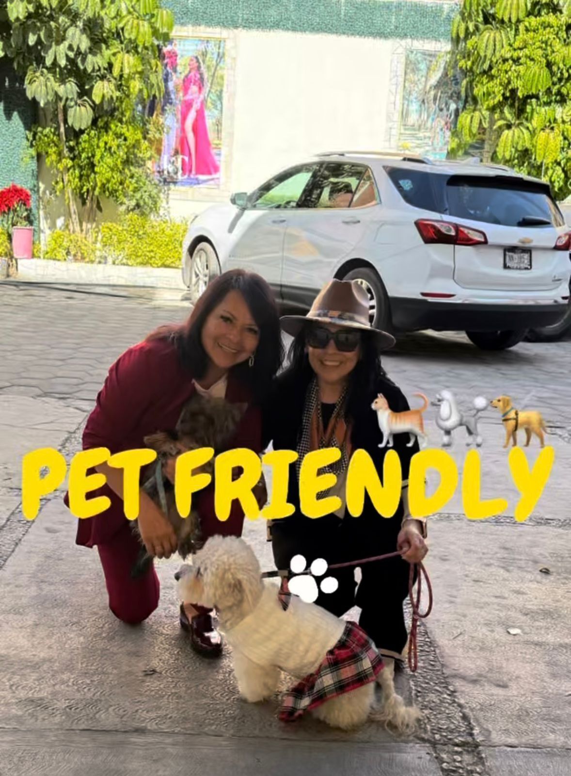 Duas pessoas com cães num parque de estacionamento.