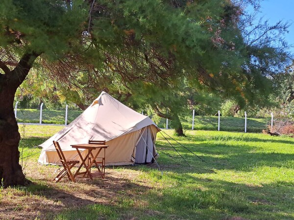 Bearsu Nature Almoxarife - Portugal