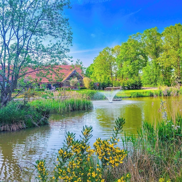 Hay's Wood Retreat - Norfolk