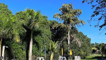 Piscina exterior