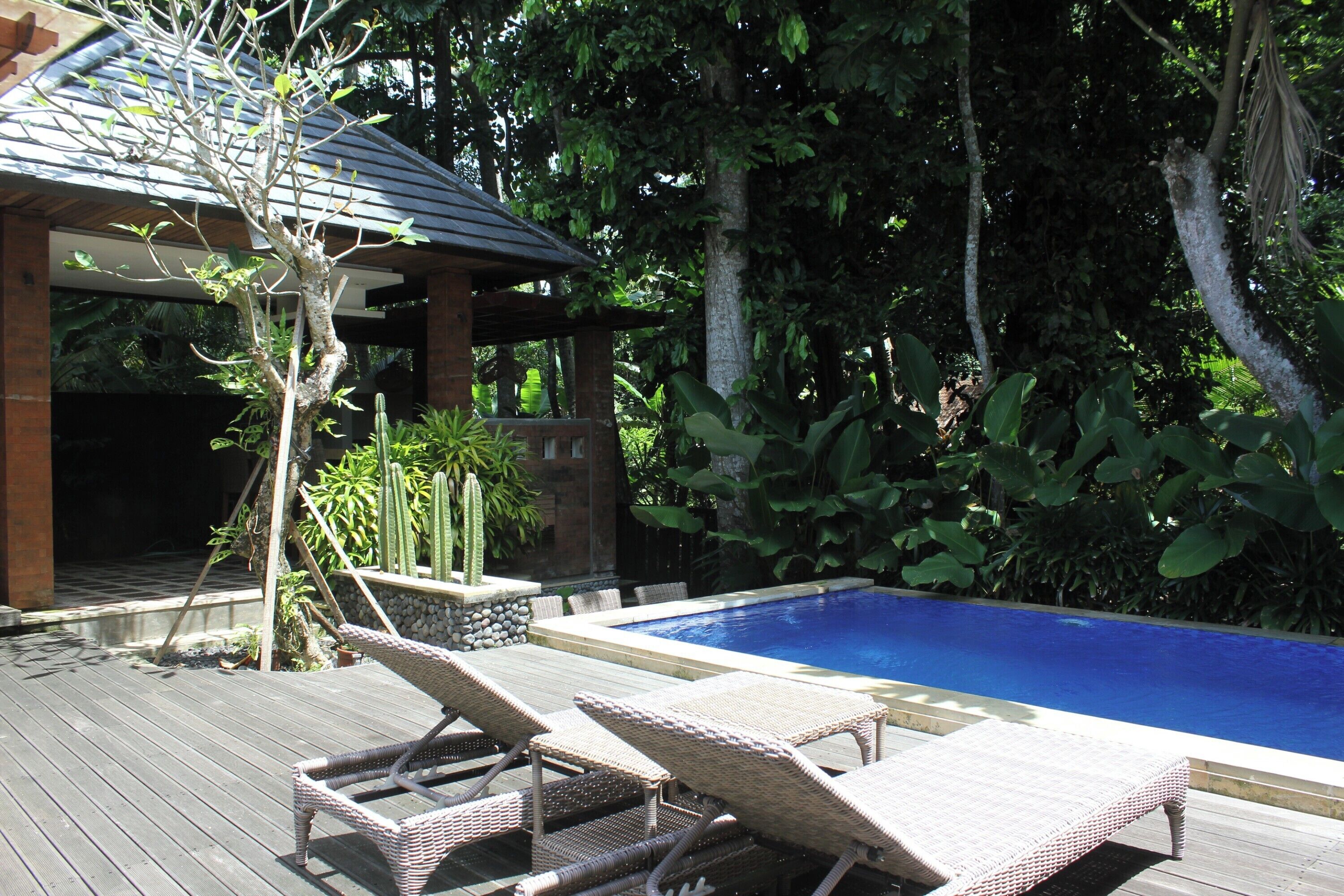 Um deck de madeira com espreguiçadeiras de vime, uma piscina e uma área coberta com plantas.