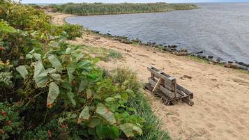 Uma praia com um banco de madeira e vegetação densa.