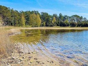 Um lago límpido com margem arenosa e árvores densas ao fundo.