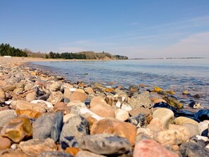 Uma costa rochosa com águas cristalinas e árvores ao longe.