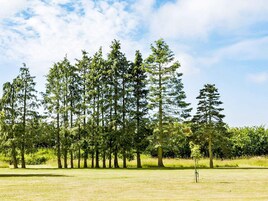 Um campo gramado com uma fileira de árvores altas e um céu limpo.
