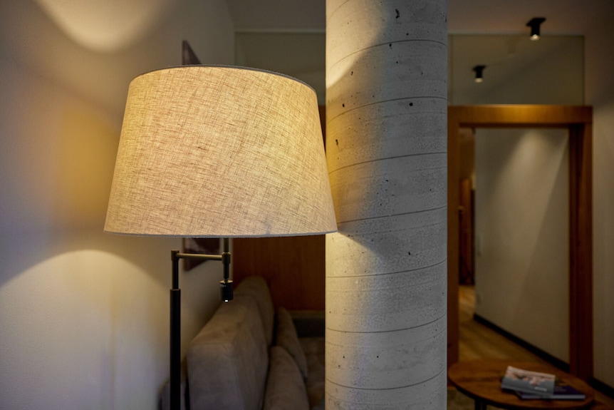 59301 Birkhuhn 301 - Montafon