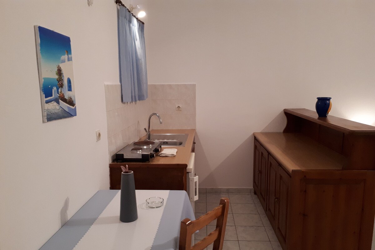 Cozinha compacta com pia, fogão e bancada de madeira. Uma mesa com toalha azul e um vaso em primeiro plano.