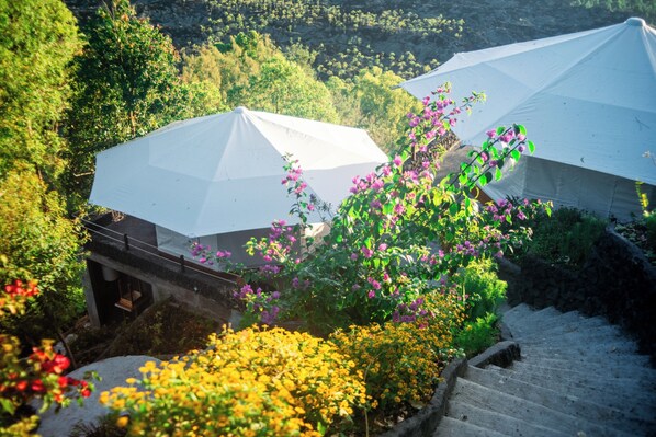 Vista de um edifício com telhado branco, cercado por flores coloridas e vegetação.