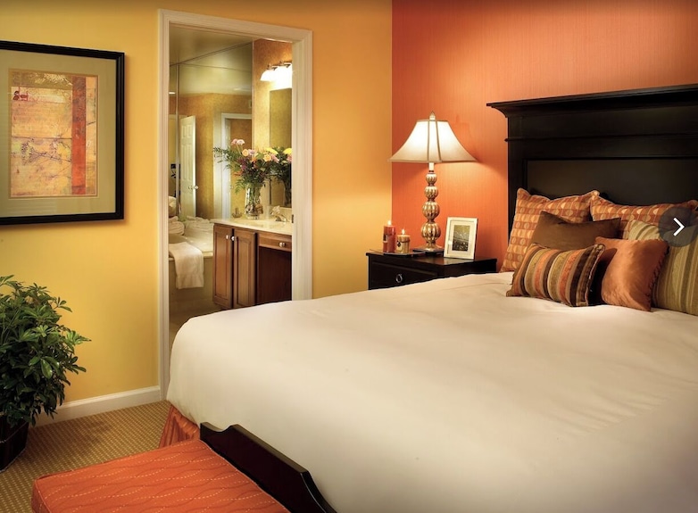 Last Minute Vacation Deal To Williamsburg - York River State Park, Williamsburg