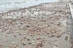 Vista da propriedade