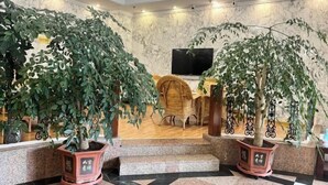 Um hall com paredes de mármore, televisão de tela plana, móveis de vime e grandes vasos de plantas.