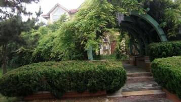 Caminho que leva a uma casa cercada por vegetação exuberante e uma escadaria de pedra.