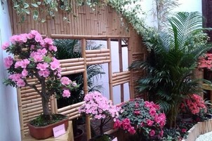 Terrenos do alojamento