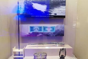Exposição com uma televisão, quadros emoldurados e diversos artefatos sobre um pedestal branco.
