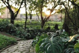 Um caminho de pedra em um jardim com vegetação exuberante e árvores.