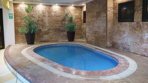 Piscina com parede de pedra e duas plantas em vasos.