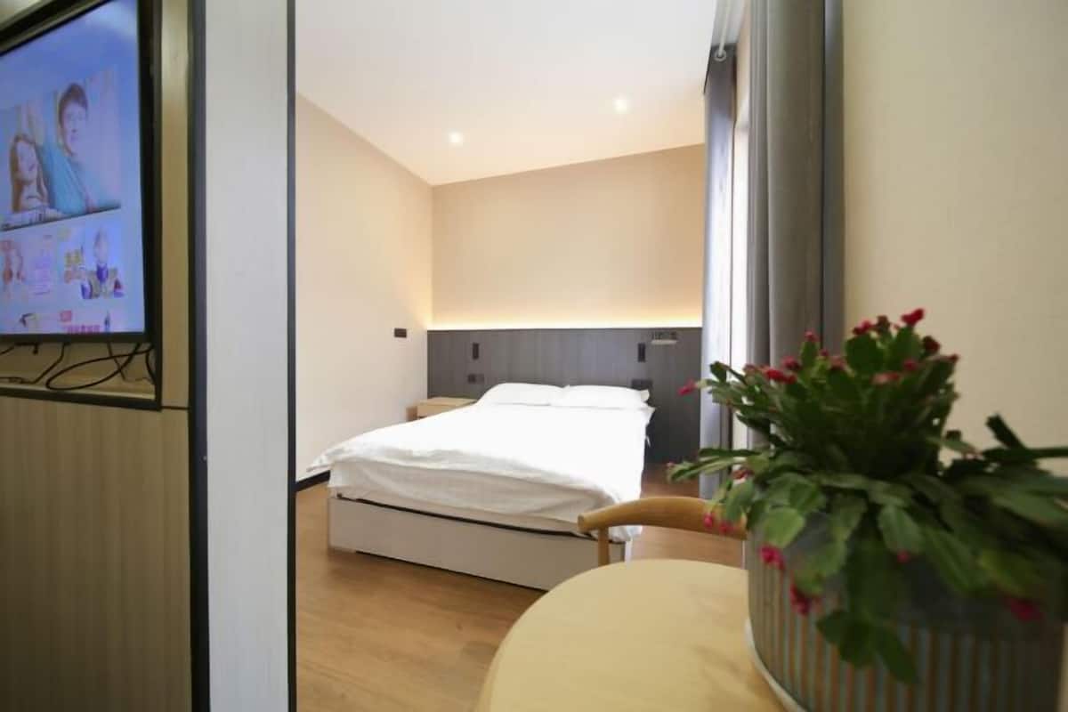 Quarto de hotel moderno com uma cama, uma televisão e um vaso de planta.