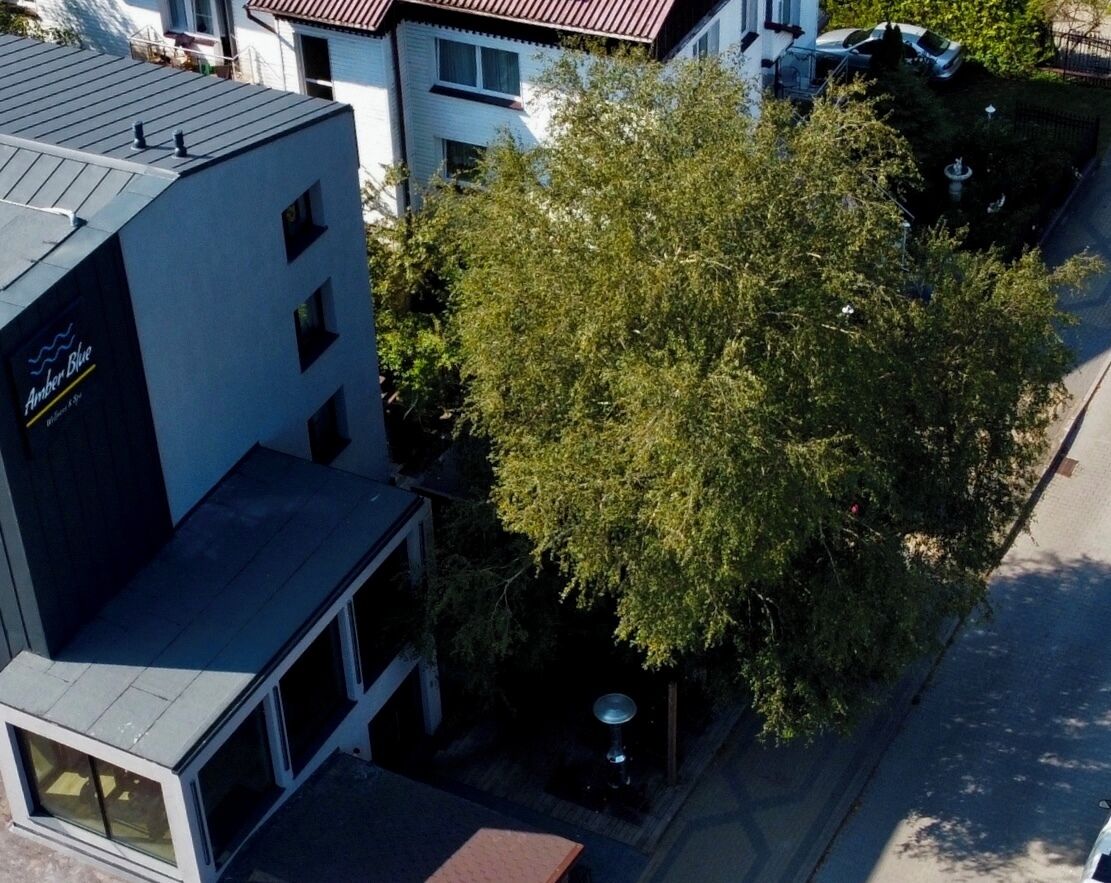Um edifício com telhado plano e uma grande árvore à frente.