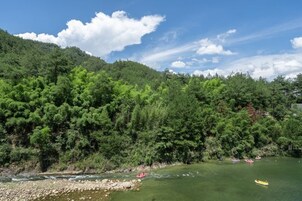 Um rio cercado por floresta densa, com caiaques na água.