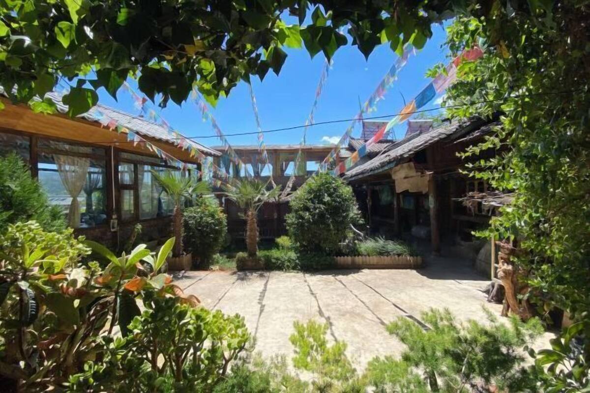 Pátio com casa de madeira, estrutura de vidro e diversas plantas.