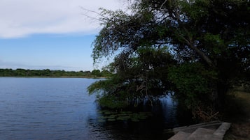 Lago