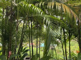 Apartamento Familiar, vista para o jardim | Vista para o jardim