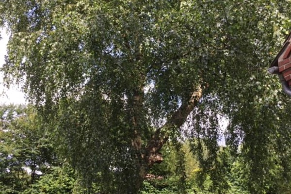 Área da propriedade