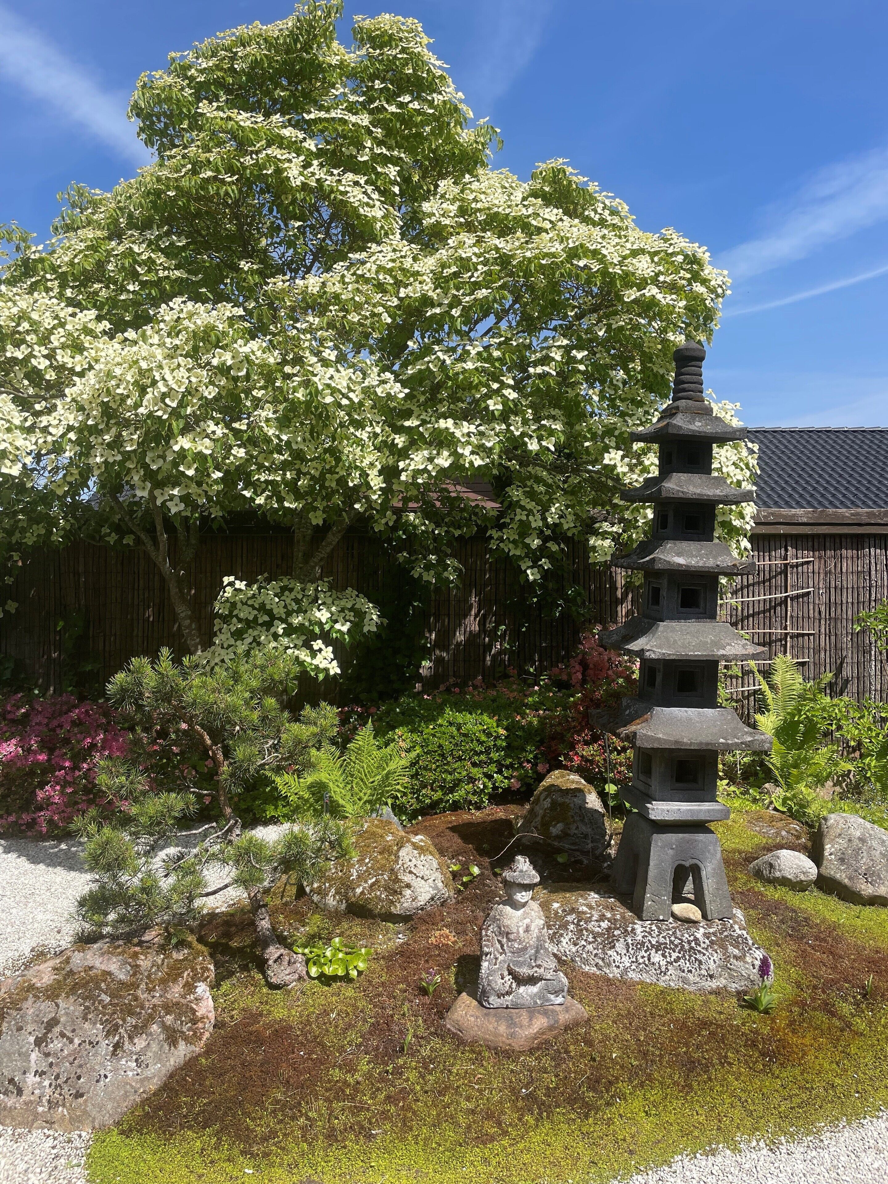 Um jardim japonês tradicional com um pagode de pedra, uma grande árvore florida e diversos arbustos e rochas.