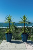 Terrenos do alojamento