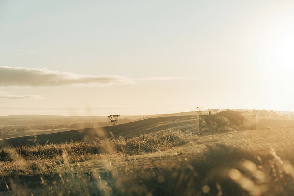 Paisagem rural com colinas ondulantes, uma árvore solitária e um edifício ao longe.