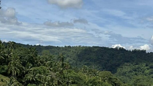 Uma piscina infinita retangular com águas azuis cristalinas, cercada por vegetação exuberante e uma encosta arborizada.