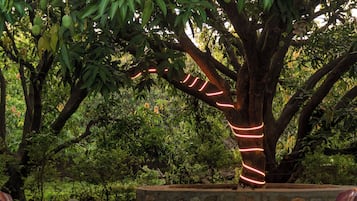 Quarto Deluxe, vista para a montanha | Vista para o jardim