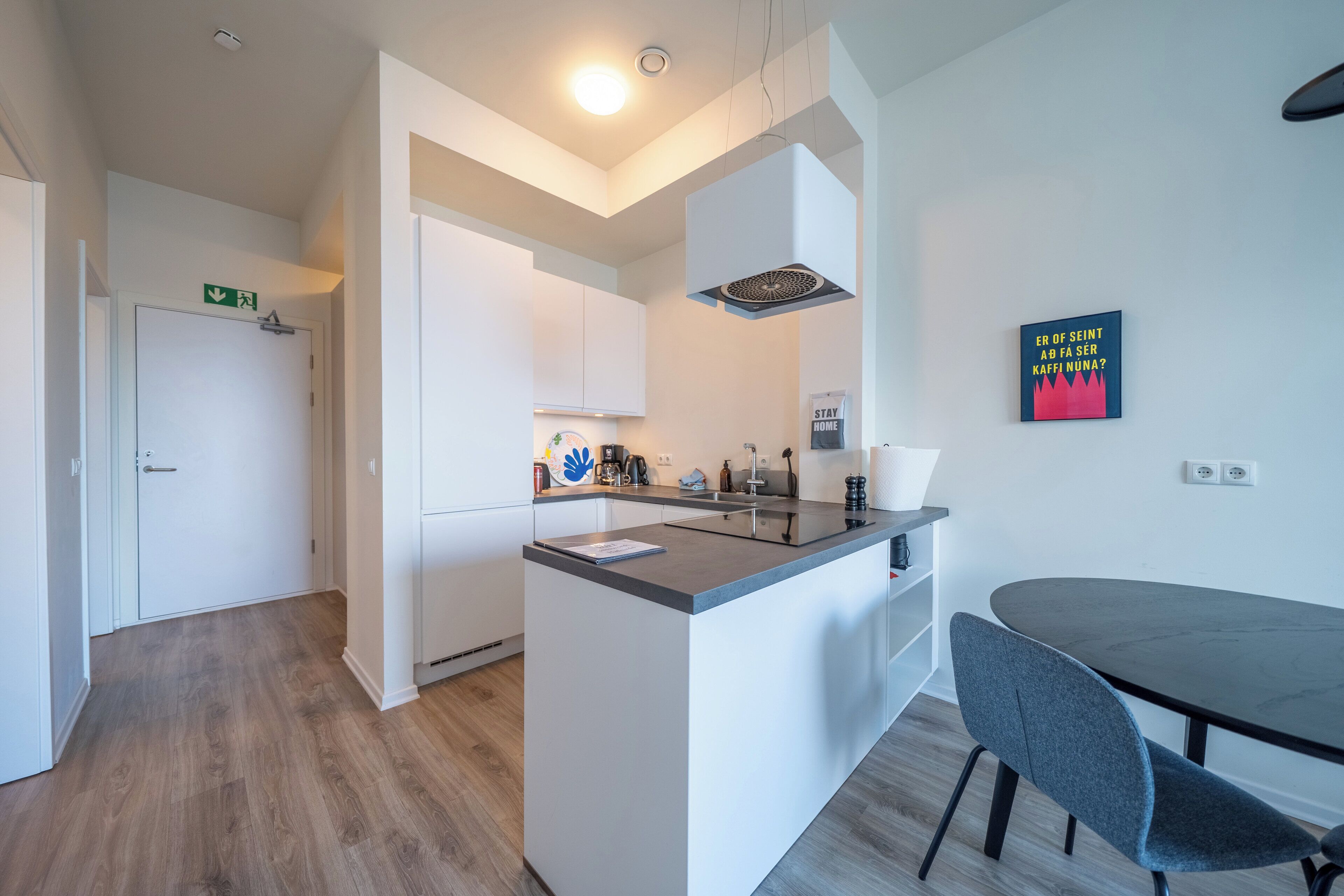 Apartamento standard, 1 quarto, vista para o mar | Cozinha privada | Geladeira grande, fogão, cooktop, lava-louças