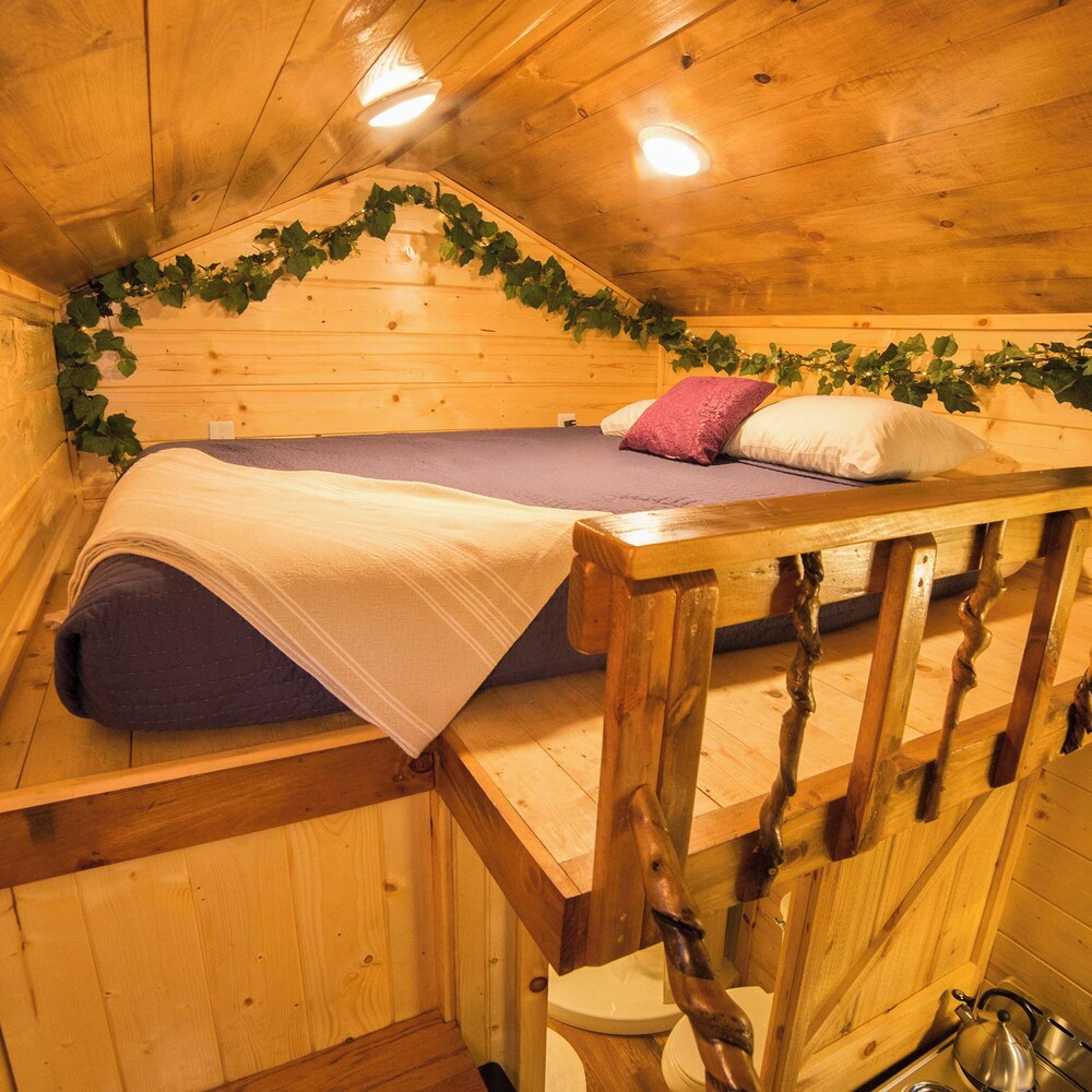 The Insta-worthy Gnome Home Tiny House In Rocky Mtns - 리용
