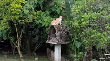 Jardim