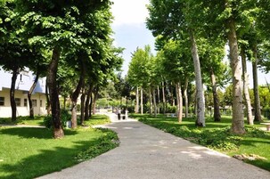 Área da propriedade