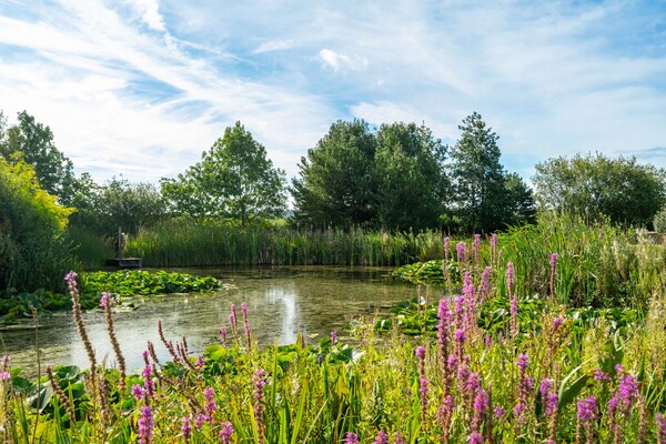 14 Acres - Nordsee
