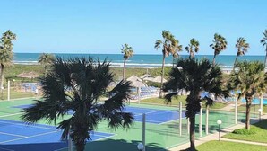 Uma quadra de tênis com vista para o oceano e palmeiras.