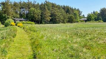 Um campo gramado com um caminho que leva a um edifício de telhado escuro, rodeado por árvores.