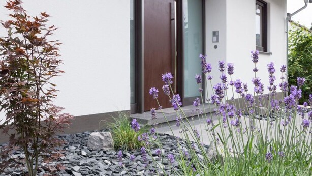Uma casa moderna com fachada branca, porta de madeira e um pequeno jardim com flores roxas e uma árvore.